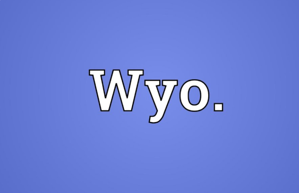 WYO Meaning: What Does It Stand For? (Real-Life Examples)
